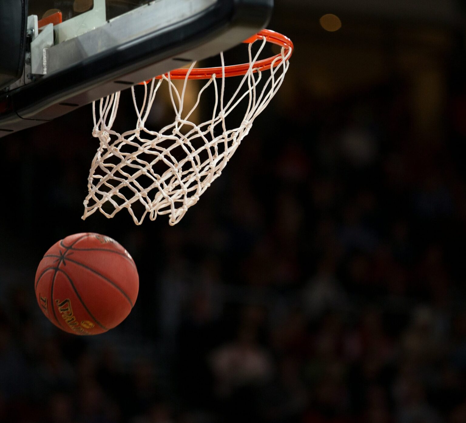 What is Mathematics? – Mathematical Association of America